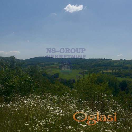 Poljoprivredno zemljište 8408m2 - Čerević