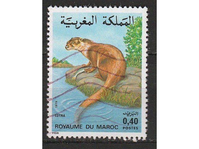 Maroko - 1979 - Eurasian Otter, vidra