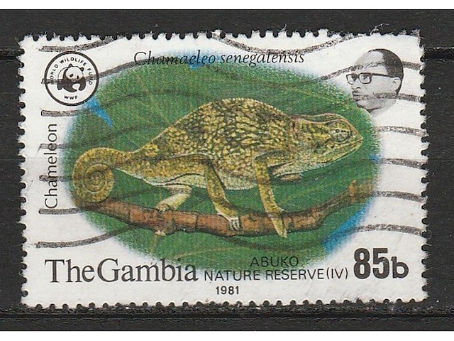 Gambia, Gambija - 1981 - Senegal Chameleon, kameleon