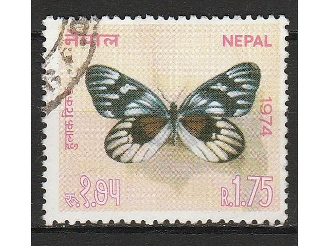 Nepal - 1974 - Redbreast Jezebel (Delias thysbe) leptir