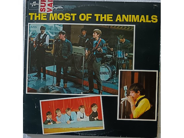 ANIMALS  -  THE  MOST  OF  THE  ANIMALS