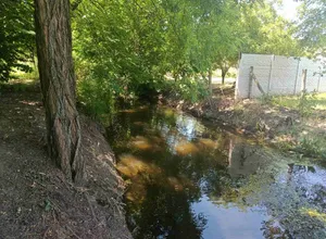 Prodaja Građevinsko zemljište - Bački Petrovac, Centar