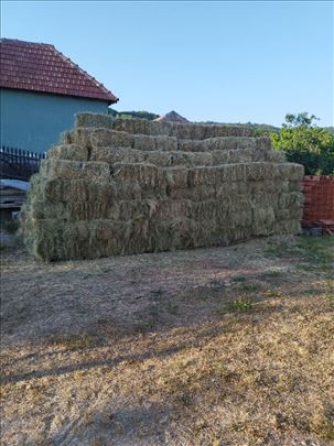 Balirano seno