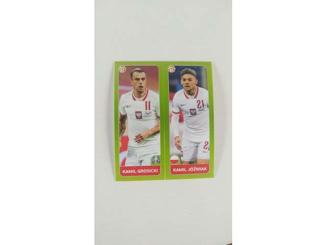 Panini EURO 2020 tournament edition sličica broj 462