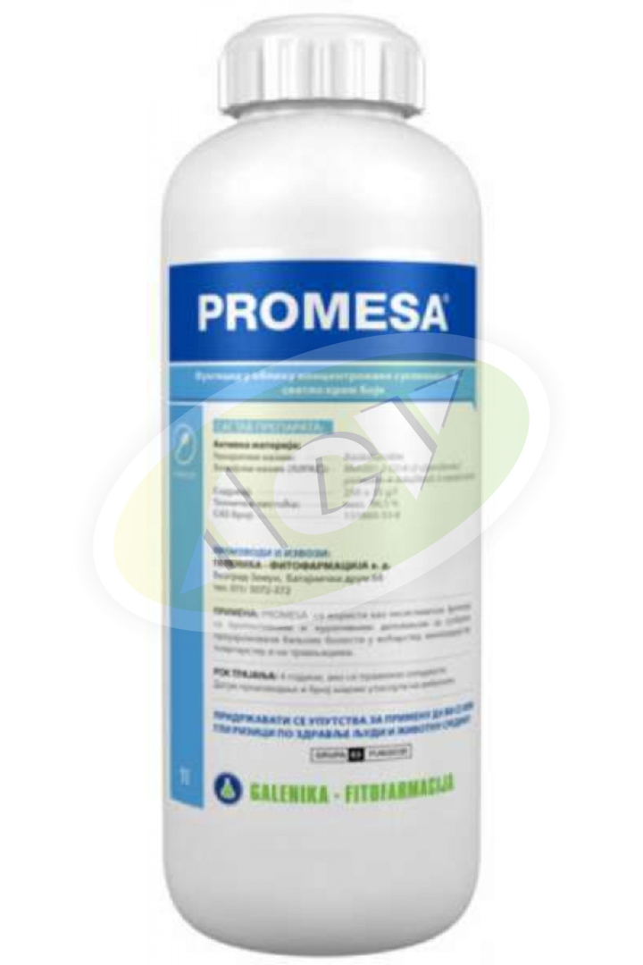 PROMESA 1|1