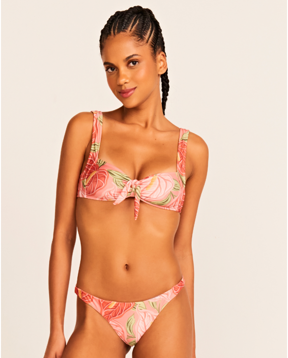 Bikini Frame Fixa Dupla Anturio
