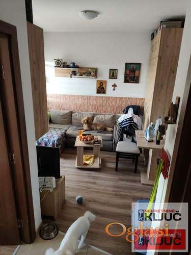 ADICE, 29m2, Jednoiposoban, Namešten
