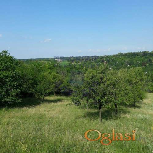 Odličan plac 2452m2 - Banstol