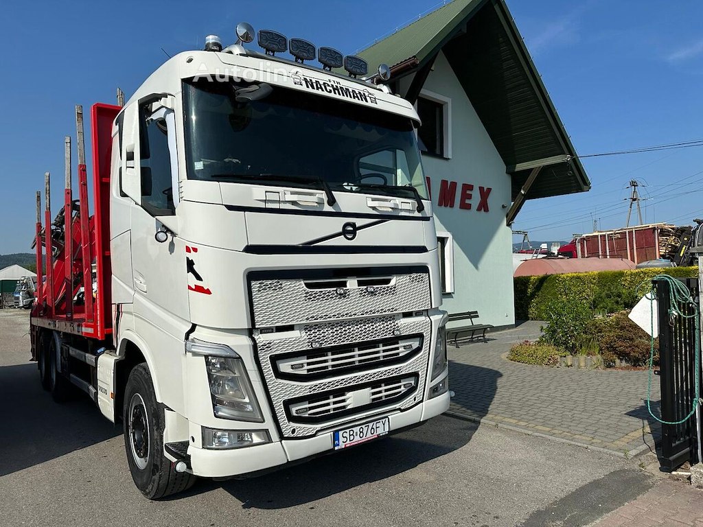 Volvo FH 500 kamion za prevoz drva
