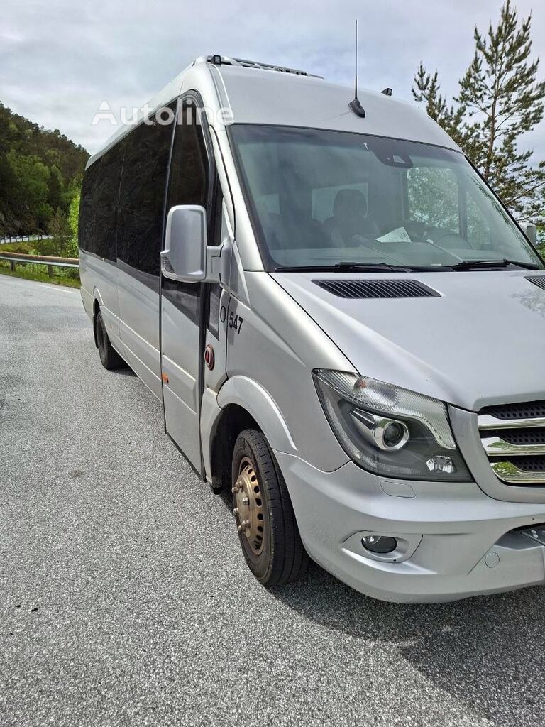 Mercedes-Benz Sprinter 519cdi *XL *16+1 *VIP *Lift *3x Wheelchair putnički minibus