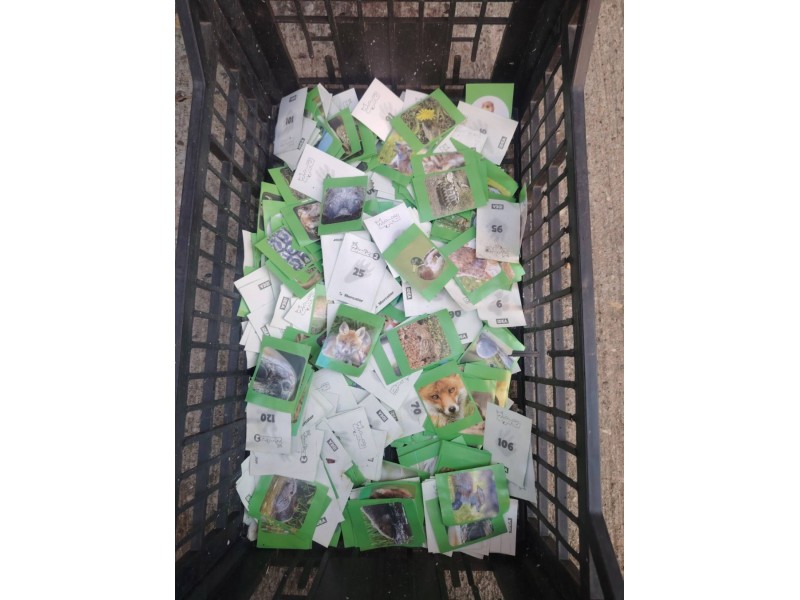 Zverići 2 1000 komada