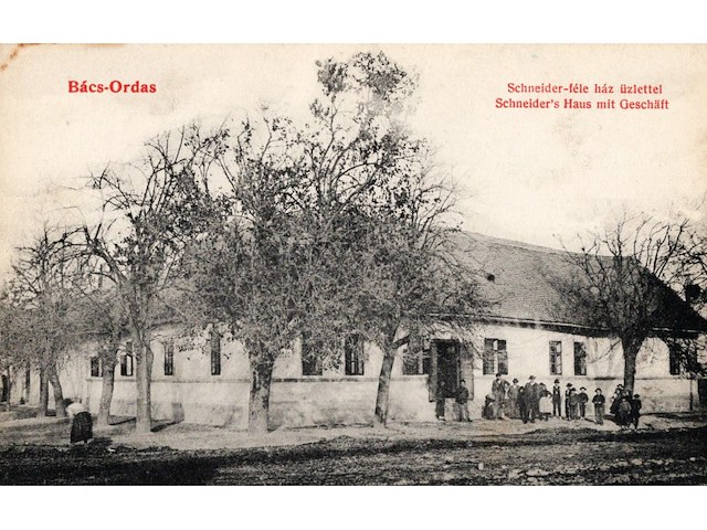 Karavukovo 1910 - Schneider - Nemacko selo u Backoj