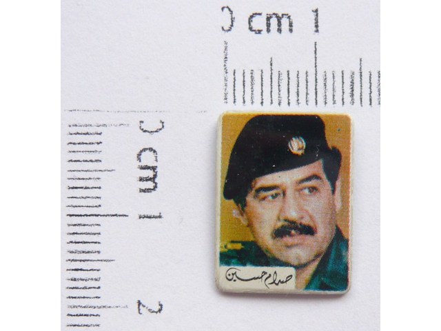 Saddam Hussein, Sadam Husein