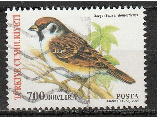 Turska - 2004 - Passer montanus, vrabac