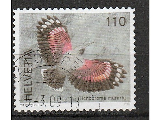 Švajcarska - 2007 - Puzgavac, Wallcreeper (Tichodroma m