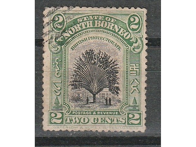 North Borneo - 1909 - Travelers Palm