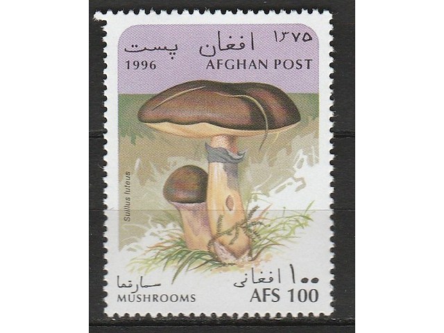 Afghanistan - 1996 - Slippery Jack (Suillus luteus)