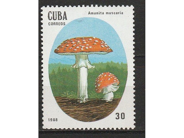 Cuba, Kuba - 1988 - Amanita Muscaria, muhara