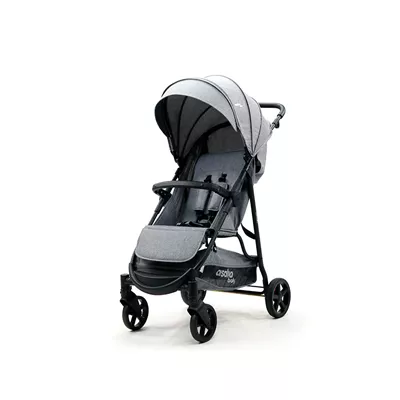 Asalvo
ASALVO DEČIJA KOLICA MANCHESTER GREY II - 19158