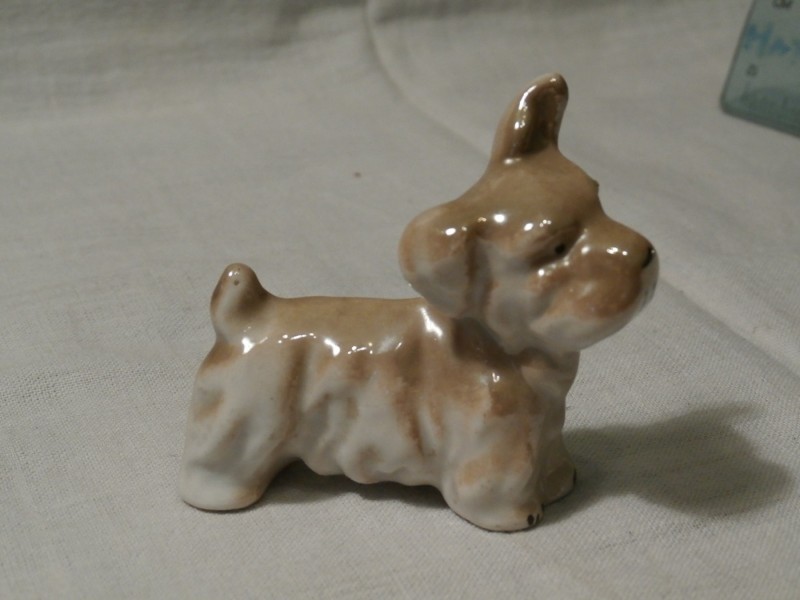 mala slatka porcelanska čupava kuca