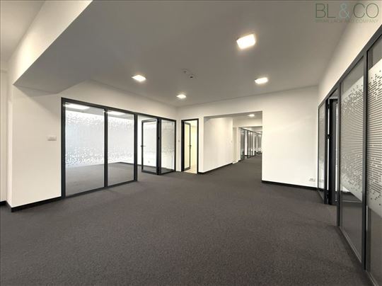 Poslovni prostor 490 m², Novi Beograd, Tošin Bunar