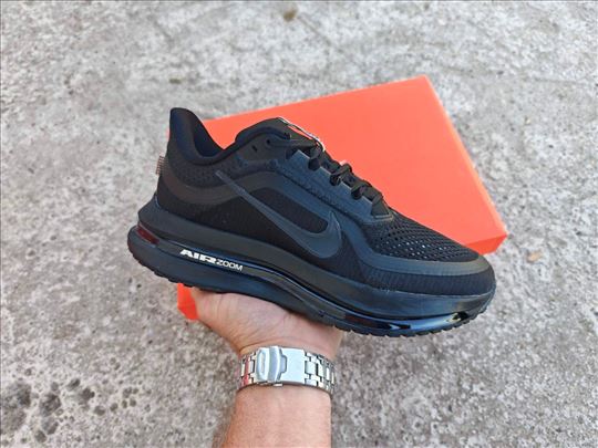 Nike Pegasus