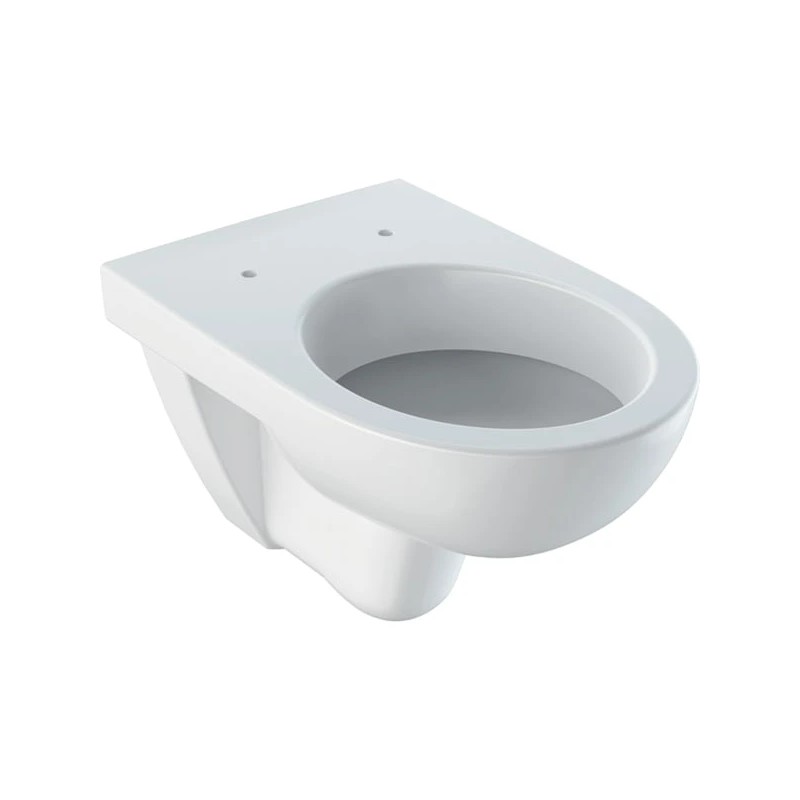 Konzolna WC šolja Geberit Selnova 500.260.01.7