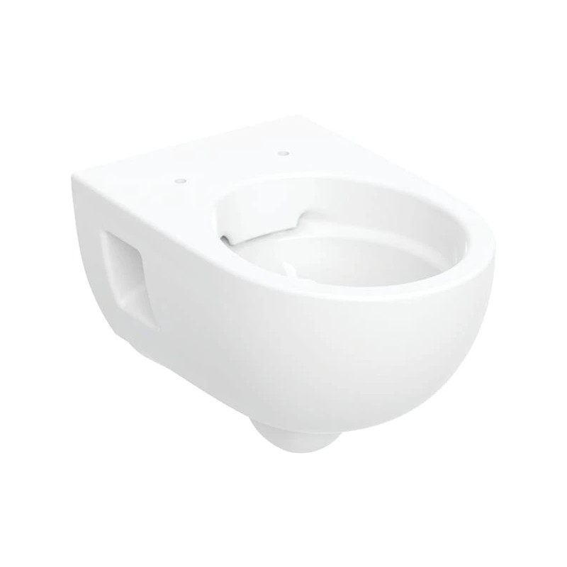 Konzolna WC šolja rimless Geberit Selnova 501.545.01.1