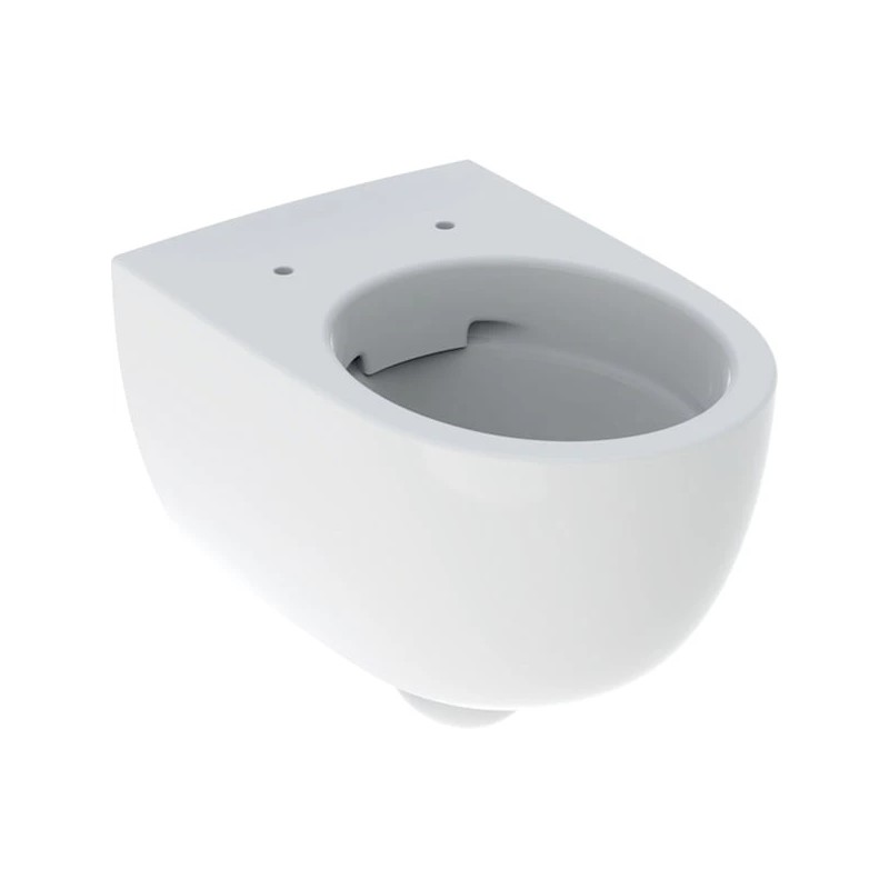 Konzolna WC šolja rimless Geberit Selnova 500.694.01.2