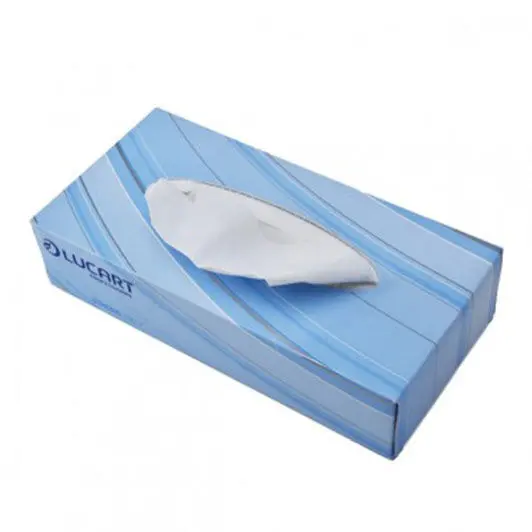 Lucart Dvoslojne maramice u kutiji Lucart Strong 100 V