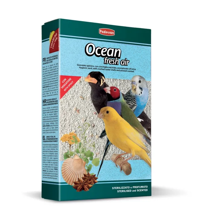 Ocean fresh air 1kg