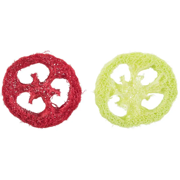 Set disc za glodare 6cm/2 kom