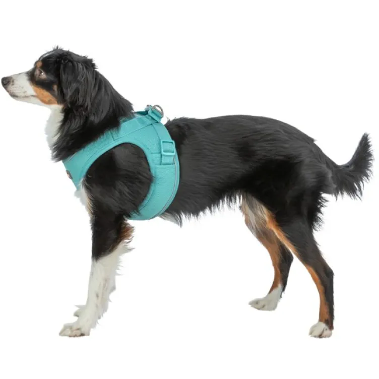Am urban vest m 58-61 cm 20 mm plavi