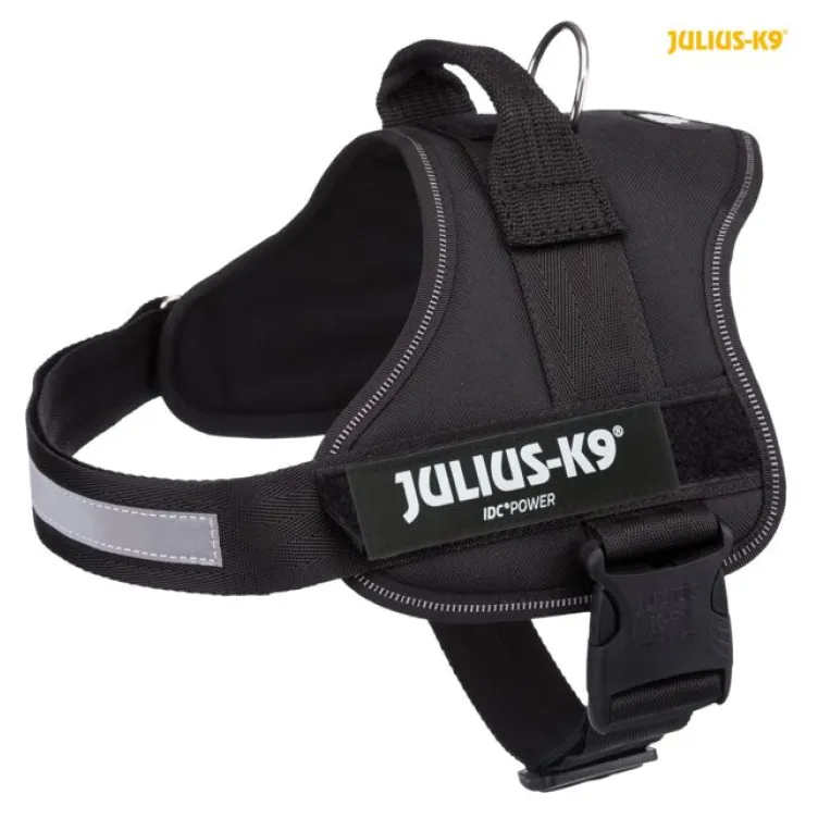 Am julius K9 2/l XL 71 96cm crni