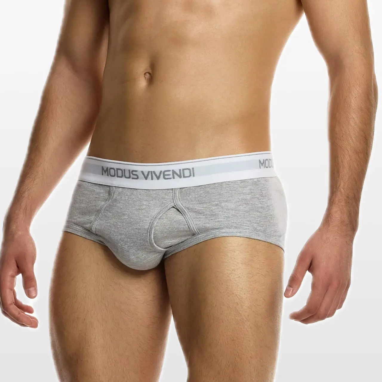 Modus Vivendi Muške slip gaće, Sive