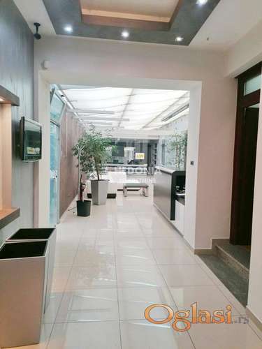 Zemun, Centar, izdavanje, pp, 600m2, useljiv ID#10563