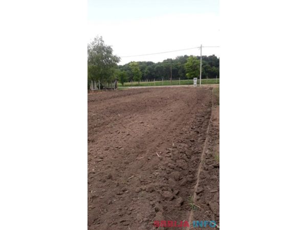 Prodajem plac u Vognju-Ruma