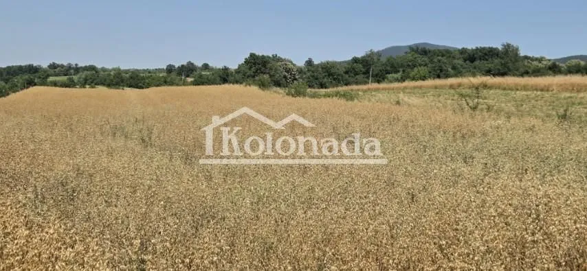 Prodaja, plac, 6000m², Sopot, Beograd