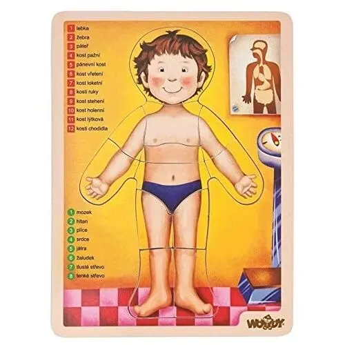 Woody Edukativni set Human Body
