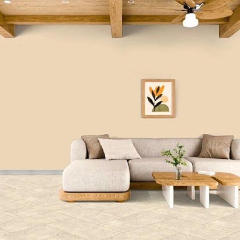 ARCIDES ARENA BONE 30X60 1.62M2