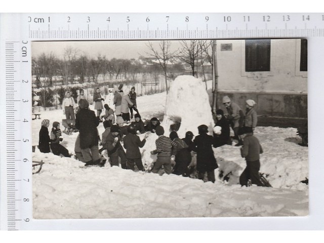 Zima, sneg, sankanje, grudvanje