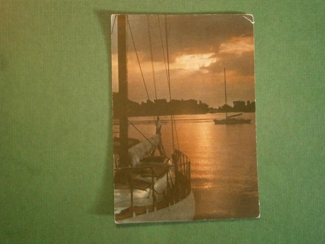 JEZERO BALATON U SUMRAK PUTOVALA 1974.