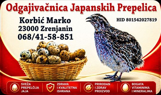 Japanske prepelice