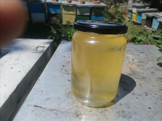 Domaći bagremov med (čist i prirodan)