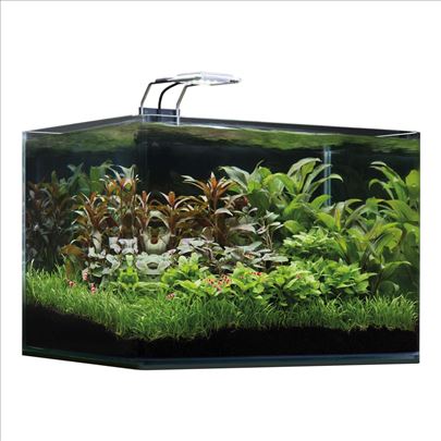 Akvarijum 30l 35l novo