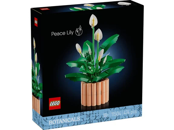 LEGO Spatifilum 11504