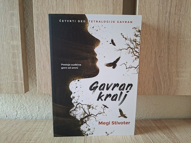 Gavran kralj - Megi Stivoter