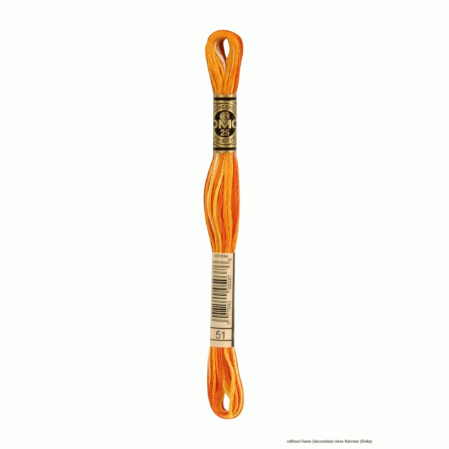 DMC MOULINE MULTICOLOR