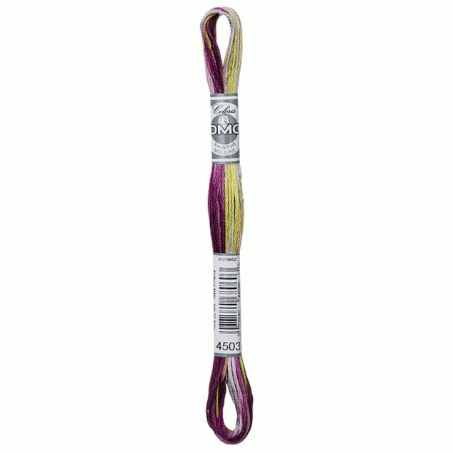 DMC MOULINE COLORIS