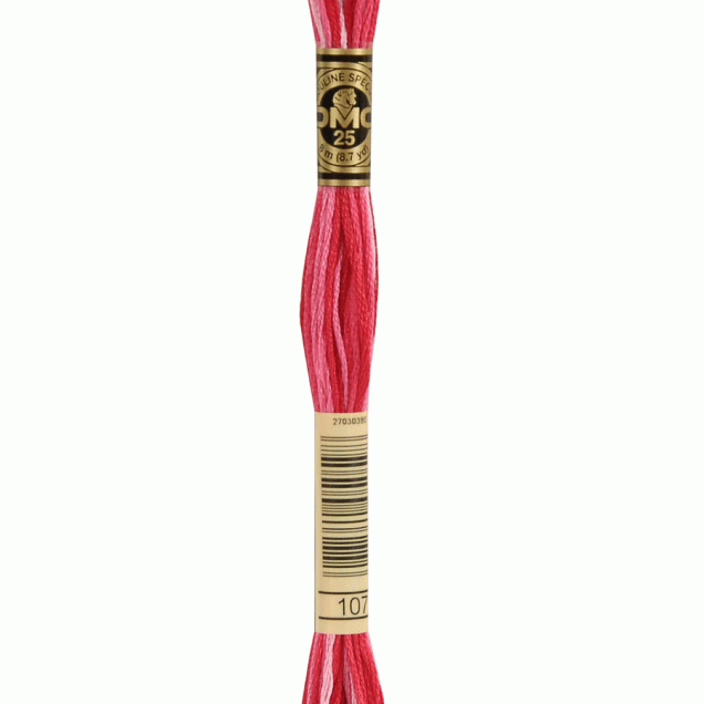 DMC MOULINE MULTICOLOR